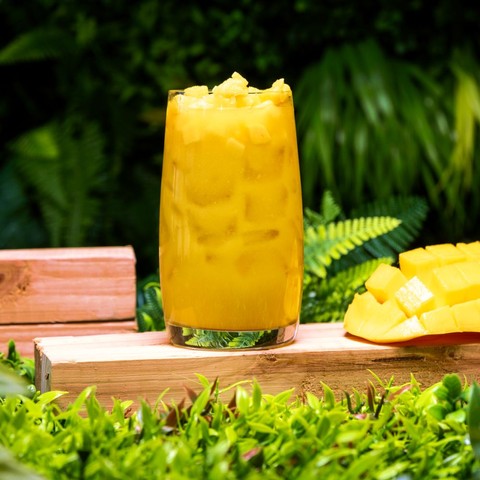 Home [hysonbobateacafe.com]